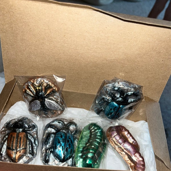 Chocolate Bugs/edible Insects/cake Topper Bugs/pretend/worm/caterpillar ...