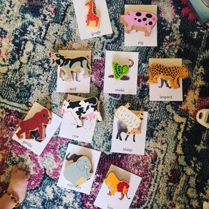 DESERT ANIMALS Montessori Cards Flash Cards Three Part Cards ...
