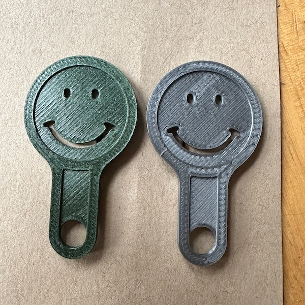 ALDI Quarter Keychain Gift for Shopper - ALDI Cart Key Cart Quarter ...