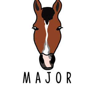 Mare Horse Sticker Set, Laptop Sticker, Gifts for Horse Lovers, Gift ...