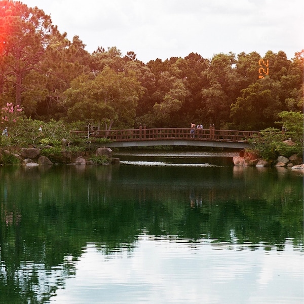 Hanimex VEF 110 Zoom Uncommon 1970s Era Fully Functional Miniature ...