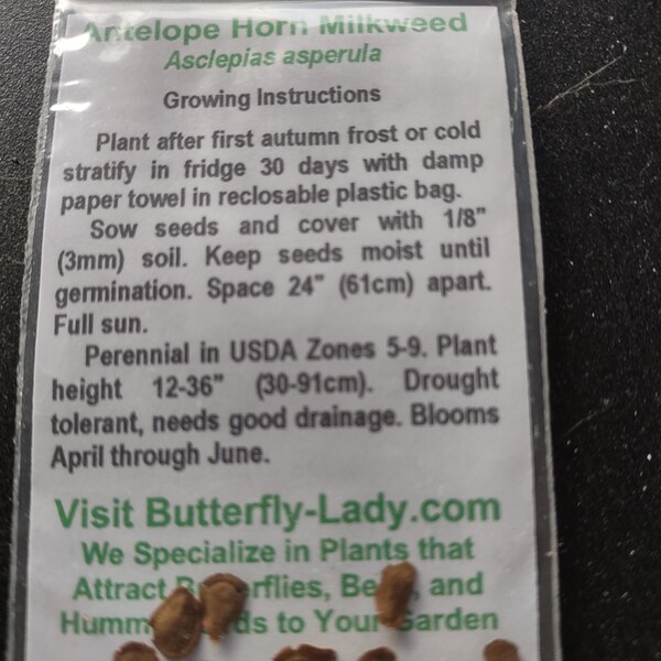 Common Ironweed (vernonia Fasciculata) Packet of 25 Seeds With FREE ...