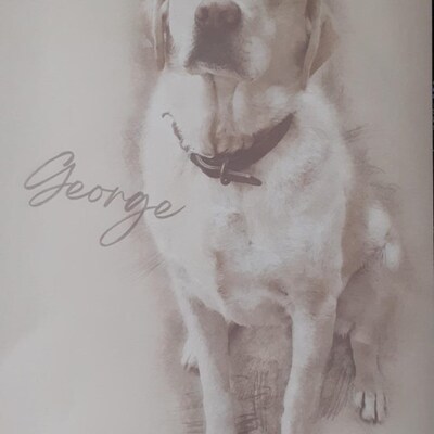 Editable Chores Schedule Printable Weekly, Rota Checklist Cleaning ...