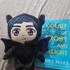ACOTAR Book Nook Night Court Velaris Rhysand and Feyre Colored Shadow ...