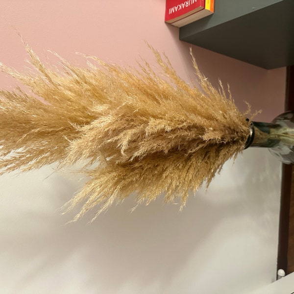 Pampas séchées naturelles 90cm à 110/115cm Herbe de la pampa - Etsy France
