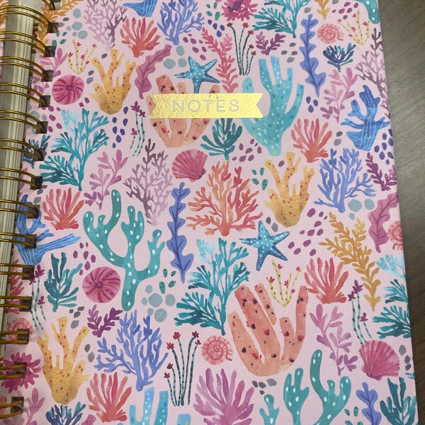CLEMENTINE PAPER INC. | 300 Page Spiral Lined Notebook | 8.5" X 6.25 ...