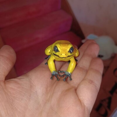 Strawberry Pineapple Pacman Frog Figure Realistic Handpainted Resin ...