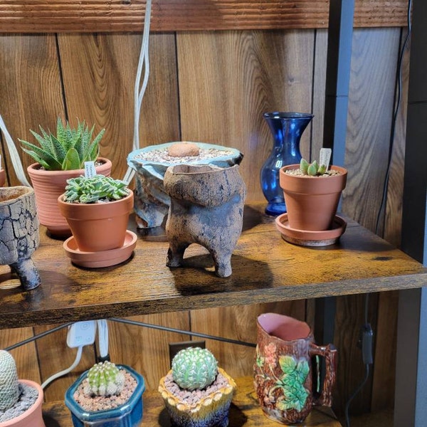 ZT 97 Organic, Rustic Design: 6 W X 5.5 H - Etsy