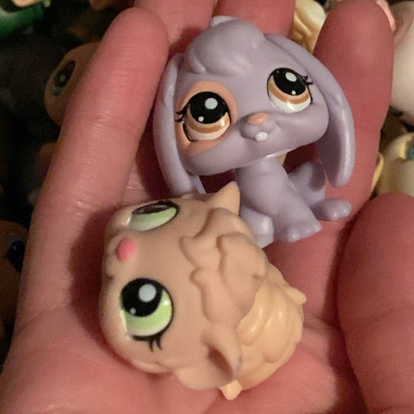 LPS Littlest Pet Shop Handpainted Bug Custom - Etsy
