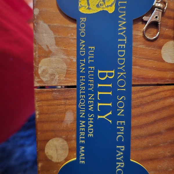 Personalized Crate Tag, Pet Crate Name Sign, Hello My Name is Hanging ...