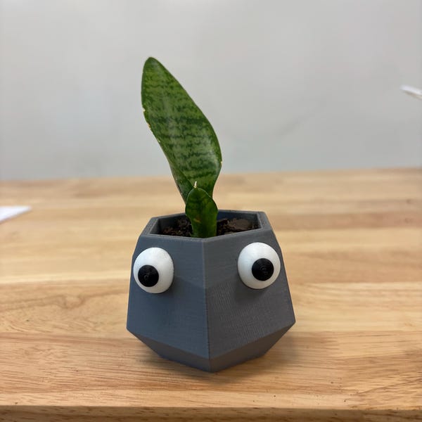 Red Pikmin Planter Pot 3D Model - Etsy