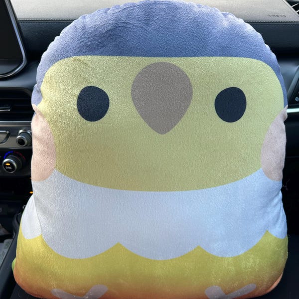 Birb Seat Pillow Case (**stuffing is Not Included, You Need to Get ...