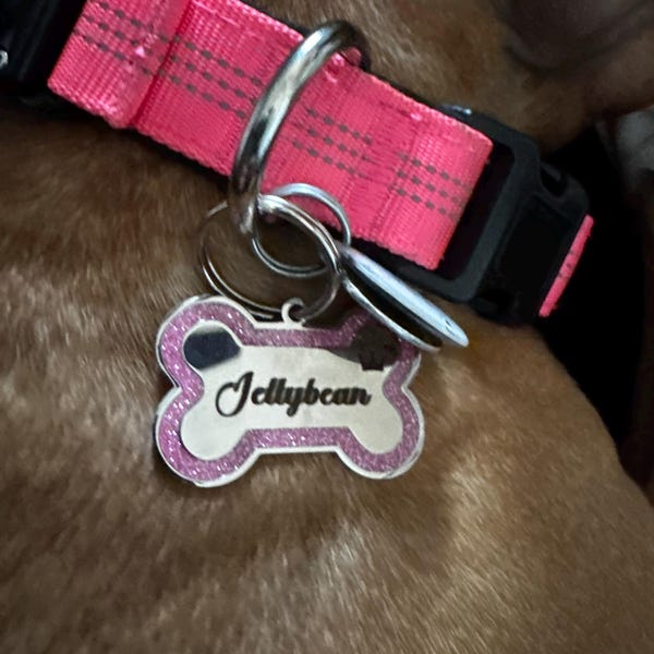 Dog Tags for Pets Engraved UK Personalized Dog Name Tag Custom Dog ID ...
