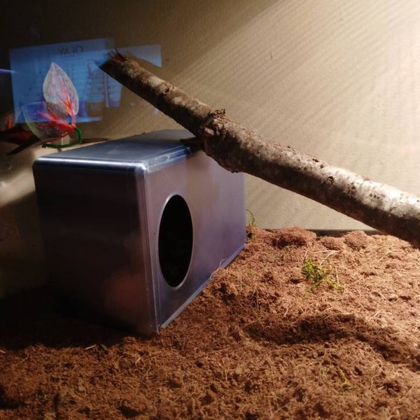 Leopard Gecko Moist Hide / Lay Box - Etsy