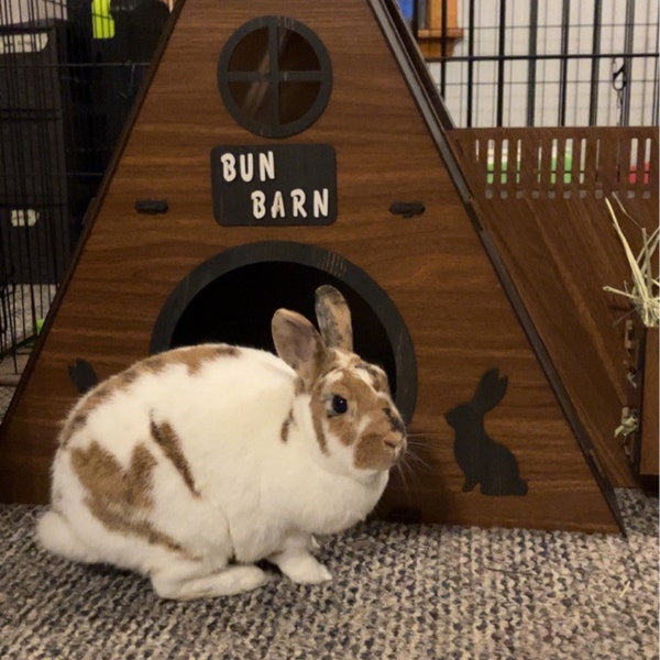Modern Two-story Rabbit House: Indoor Bunny Castle With Stairs - Etsy