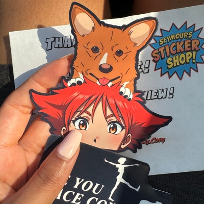 Rogue Sticker Pack - Etsy