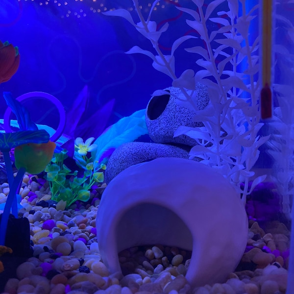 Small Fish Hide MADE TO ORDER - Betta Fish Cave - Small Aquarium Decor ...