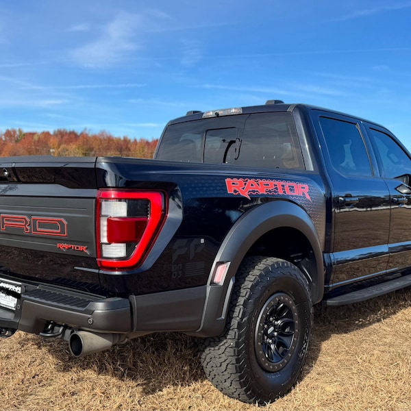 2021+ F150 & Raptor Door Pillar PPF Self Healing Protection - Etsy