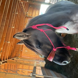 Skinny Bronc Poly Rope Halter - Etsy