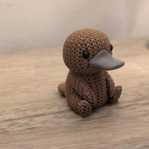 Turtle Fidget Clickers | Fruit Series Keychains and Sensory Toys | 3D ...