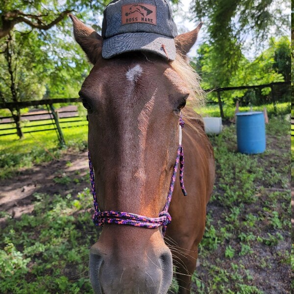 Barn Baby Horse Bodysuit for Boys - Navy Blue Equestrian Baby Clothing ...