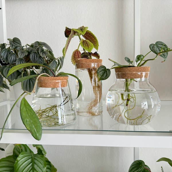 Propagation Station Jar Flower Vase With Bamboo Lid - Etsy