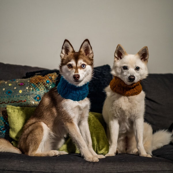 Greyhound Snood. Med 2 Large Dog Winter Scarf Neck Ears Warmer. Galgo ...