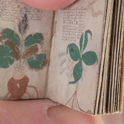 Miniature Occult Book Collection Digital Download Set of 5 & Bonus ...