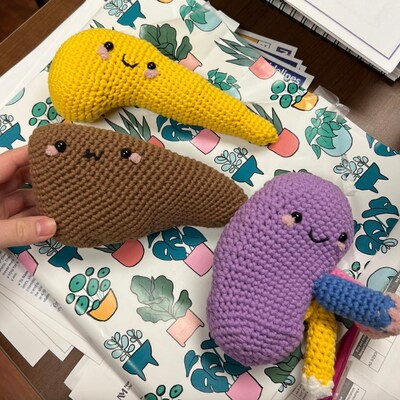 11 Crochet Organs Patterns EBOOK PDF Amigurumi Heart Liver Kidney Brain ...