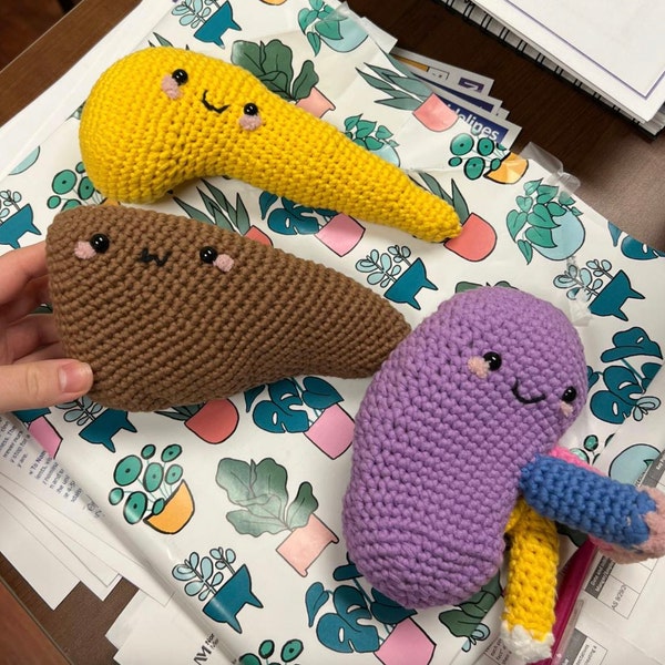 11 Crochet Organs Patterns! EBOOK PDF Amigurumi Heart Liver Kidney ...