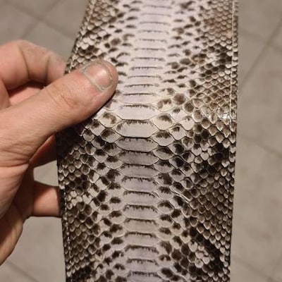 Genuine Snake Wallet Skin Men's Phyton Sanca Multicolor Wallet Short ...