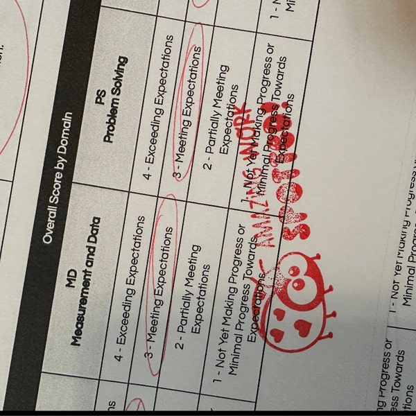 Checklist Stamp, Pencil Stamp, Completed With...self-inking Teacher ...