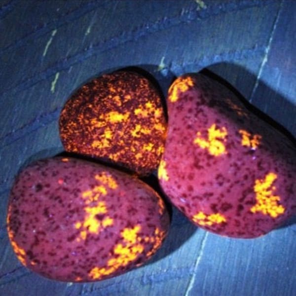 Yooper Stones Fluorescent Sodalites 1 Lb Lot Emberlites Lake Superior ...