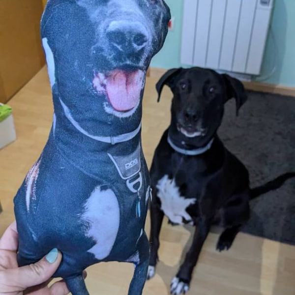 Custom Pet Pillow, Custom Pet Cushion, Pet Ugly Pillow, Pet Shaped ...