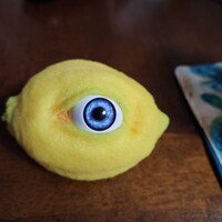 The All Seeing Lemon - Etsy Hong Kong