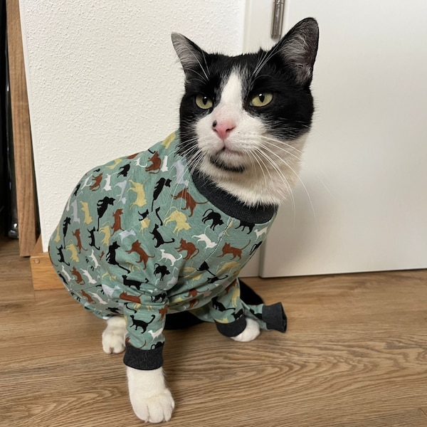 Sphynx Cat Bodysuit Sewing Pattern PDF – Cat Pajamas & Recovery Suit - Etsy