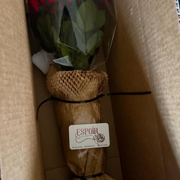 Pack of 16 Long-stem White Preserved Roses | Mother's Day Gift ...