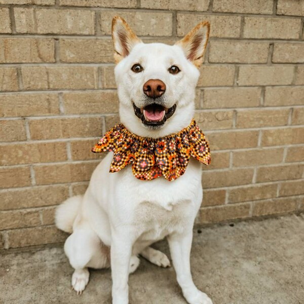 Dog Bandana PDF Sewing Pattern - Unique Flower Power Elasticated Dog ...