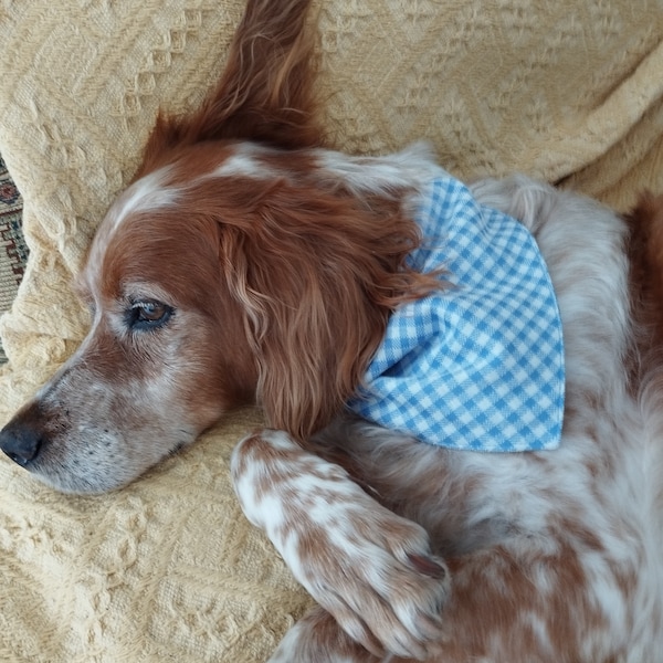 MEN'S UNDERBUST CORSET Pattern // Pdf Sewing Pattern for Men // Eu Size ...