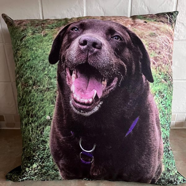 Personalised Sloth Cuddle Cushion Granddaughter Daughter Cuddle Sloth ...
