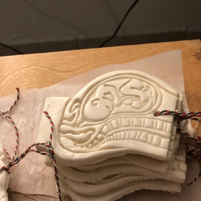 Pregnant Womb With Fetus Cookie Cutter Anatomy Physiology Medicine ...