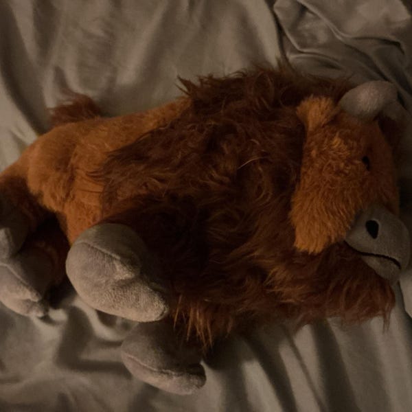 Weighted Orca Plush: 3 Lb Stuffed Animal for Anxiety Relief - Etsy