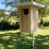 Cedar Songbird Roosting Box - With Cleanout - Etsy