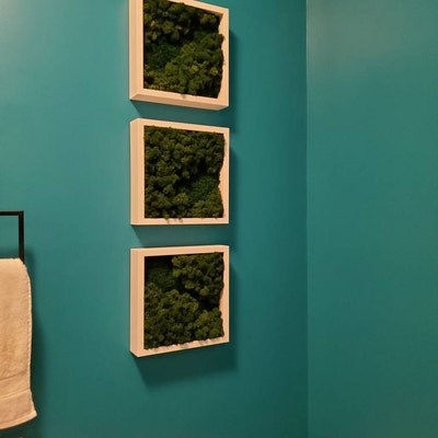 Make Your Own Moss Art DIY Moss Wall Kit Round Moss Art - Etsy