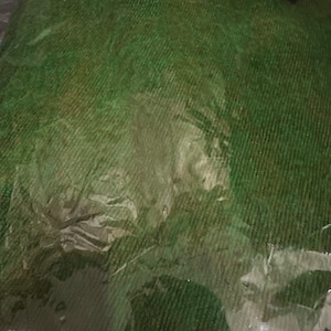 GOLDEN BEE Hand Painted Shoes / Bumble Bee Personalised Canvas Shoes ...