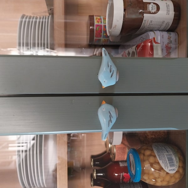 Hand Sculpted Bird Knobs, Drawer Pulls - Etsy