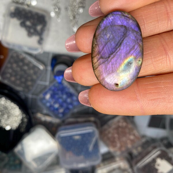 AAA White Scallop Shells With Hole: Jewelry Making, Beach Decor - Etsy