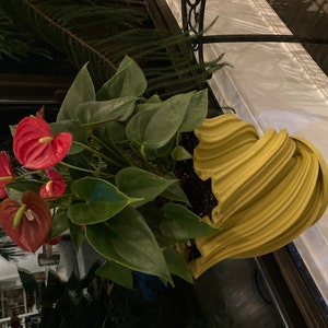 Planter Pot With Drainage, Pear Green Fractal Design for Small and ...