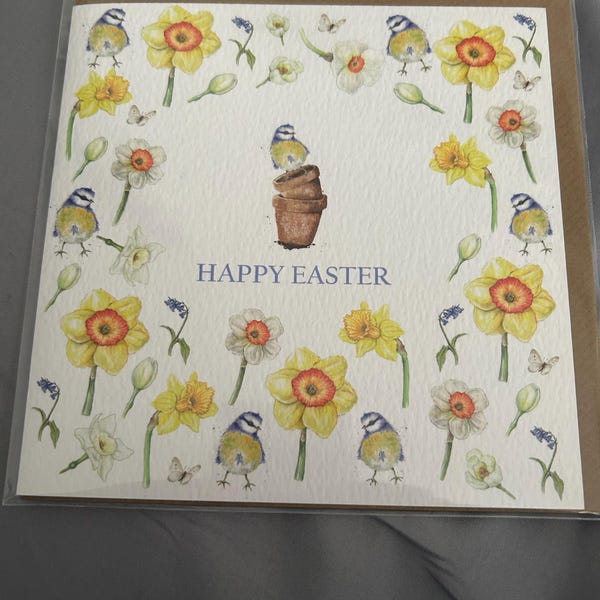Cheeky Squirrel Birthday Card | Squirrel and Nuts Card - Etsy