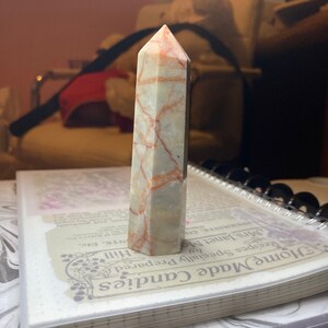 100g Natural Ammonite Quartz Crystal Disc Fossil Conch | Etsy